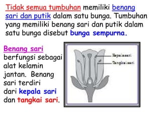 Bab 2 perkembangbiakan tumbuhan | PPTX