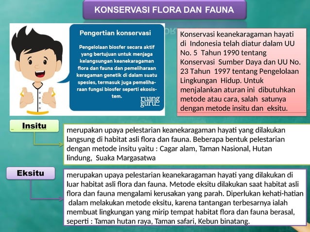 bab2persebaranfloradanfaunadiindonesiadandunia-200412060840.pptx