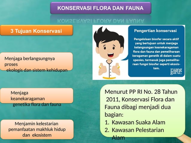 bab2persebaranfloradanfaunadiindonesiadandunia-200412060840.pptx