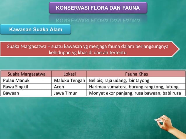 bab2persebaranfloradanfaunadiindonesiadandunia-200412060840.pptx