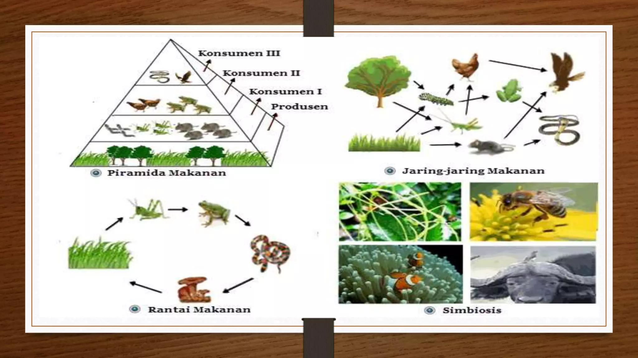 Bab 2 pert ke 3 interaksi makhluk hidup dengan lingkungan | PPTX
