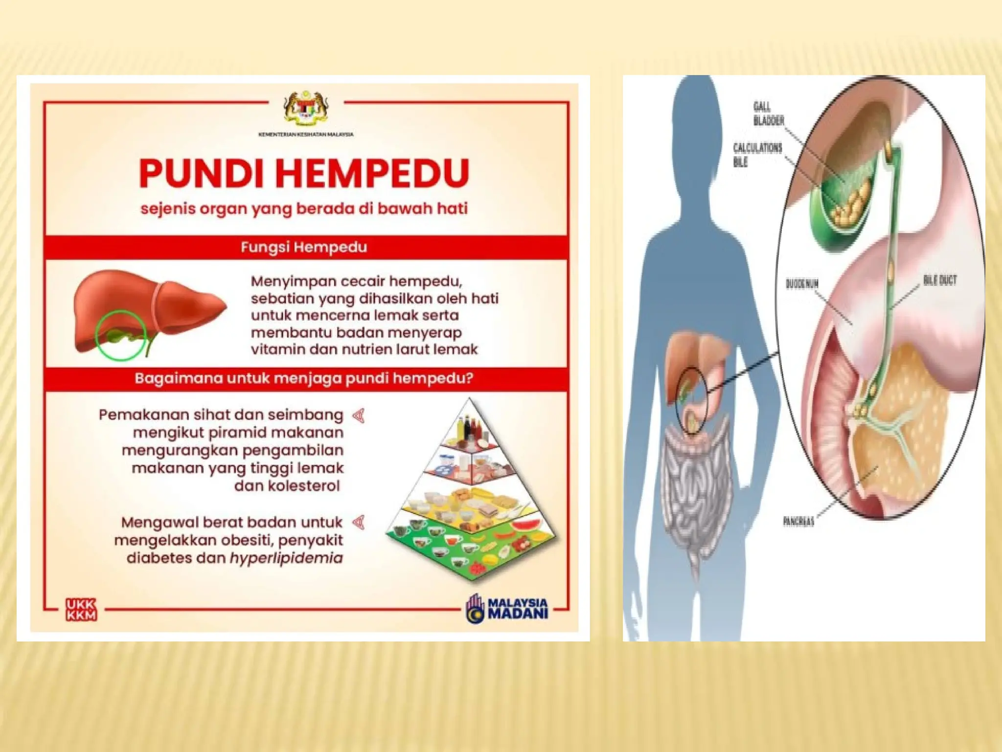 BAB 2 SEBATIAN KARBON (VERSI 2) SILIBUS SAINS.pptx