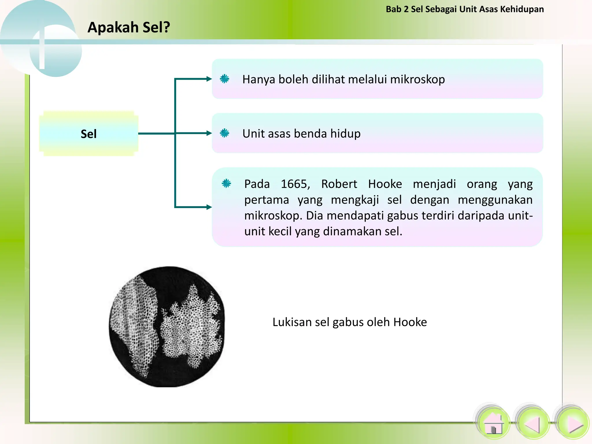 BAB 2 SEL SEBAGAI UNIT ASAS KEHIDUPAN.pptx