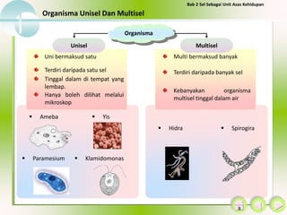 BAB 2 SEL SEBAGAI UNIT ASAS KEHIDUPAN.pptx