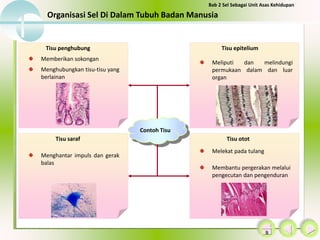 BAB 2 SEL SEBAGAI UNIT ASAS KEHIDUPAN.pptx