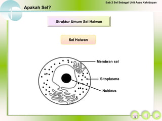 BAB 2 SEL SEBAGAI UNIT ASAS KEHIDUPAN.pptx