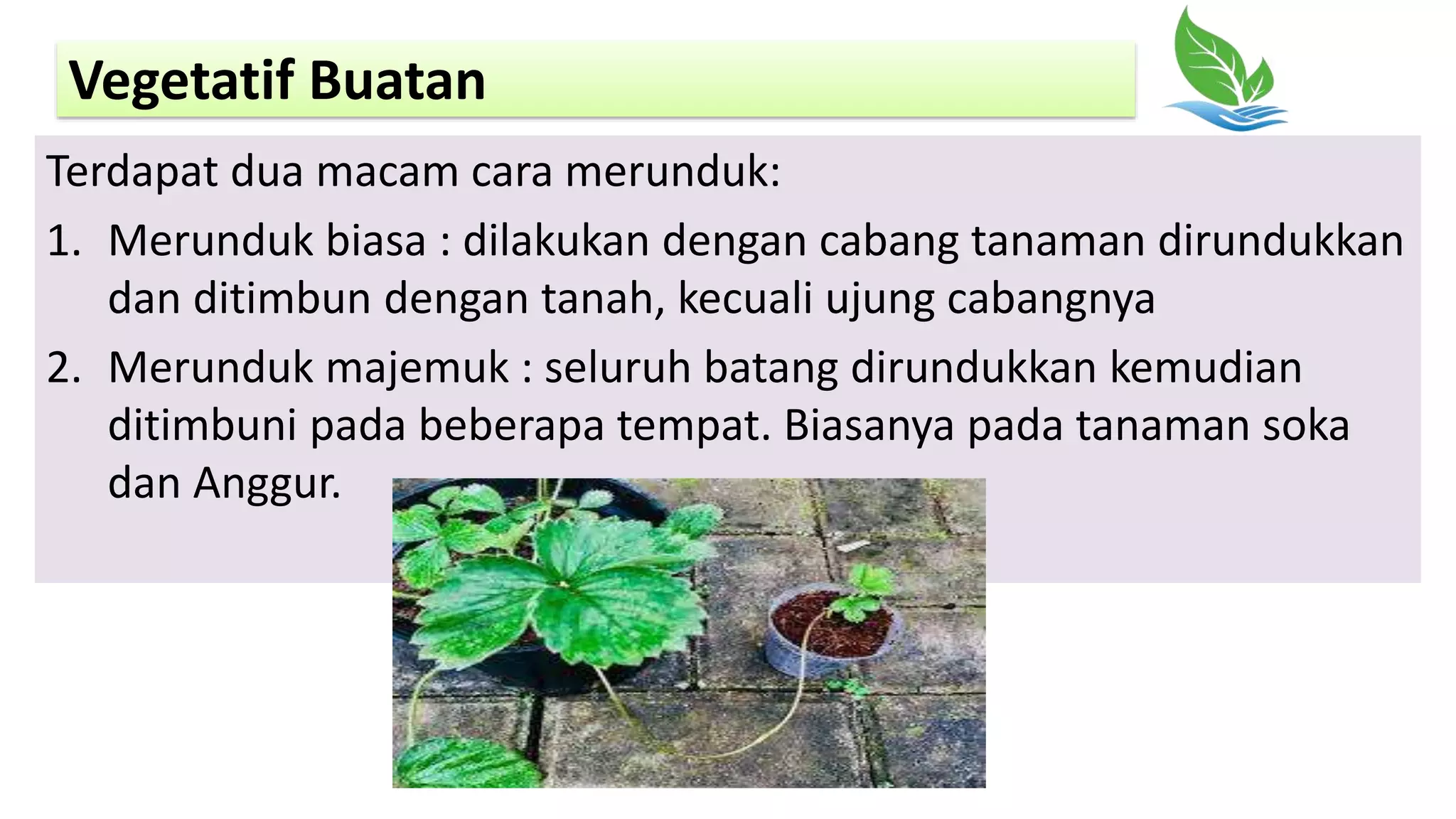 BAB 2 SISTEM PERKEMBANGBIAKAN HEWAN DAN TUMBUHAN 2021.pptx