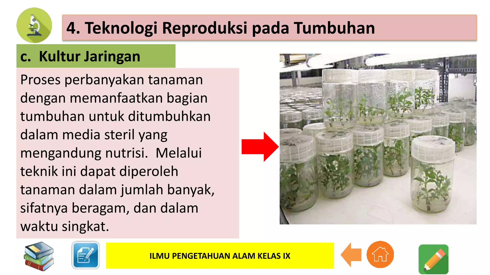 BAB 2 SISTEM PERKEMBANGBIAKAN HEWAN DAN TUMBUHAN 2021.pptx