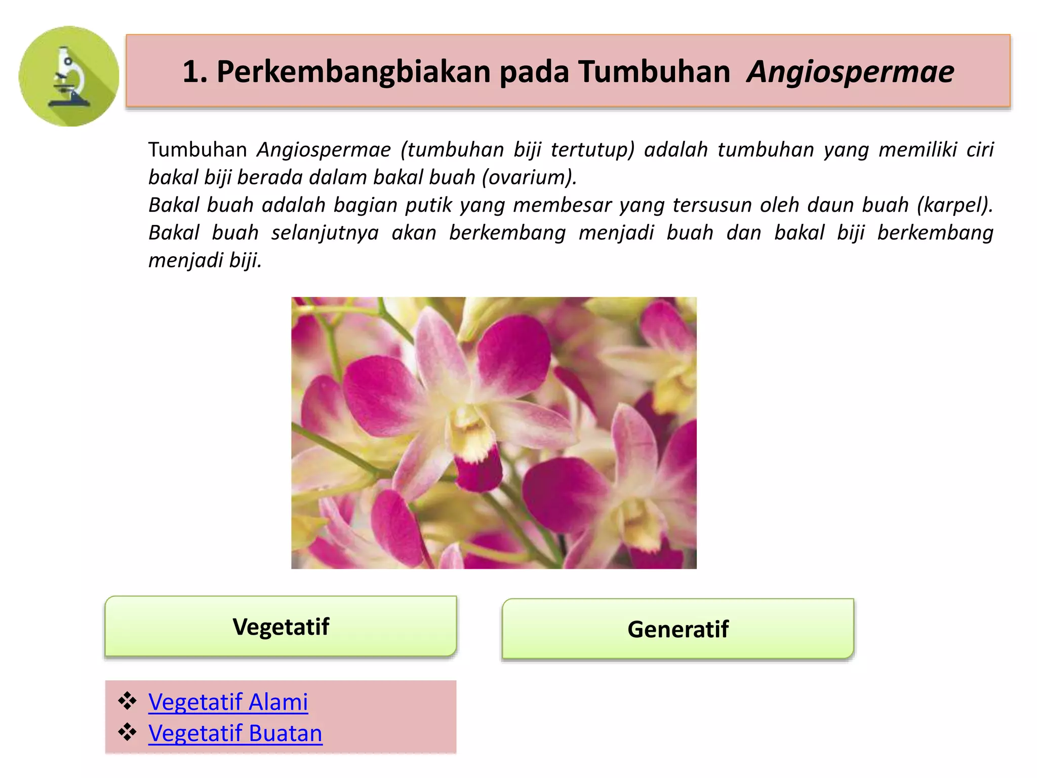 PERKEMBANGBIAKAN PADA TUMBUHAN DAN HEWAN | PPTX