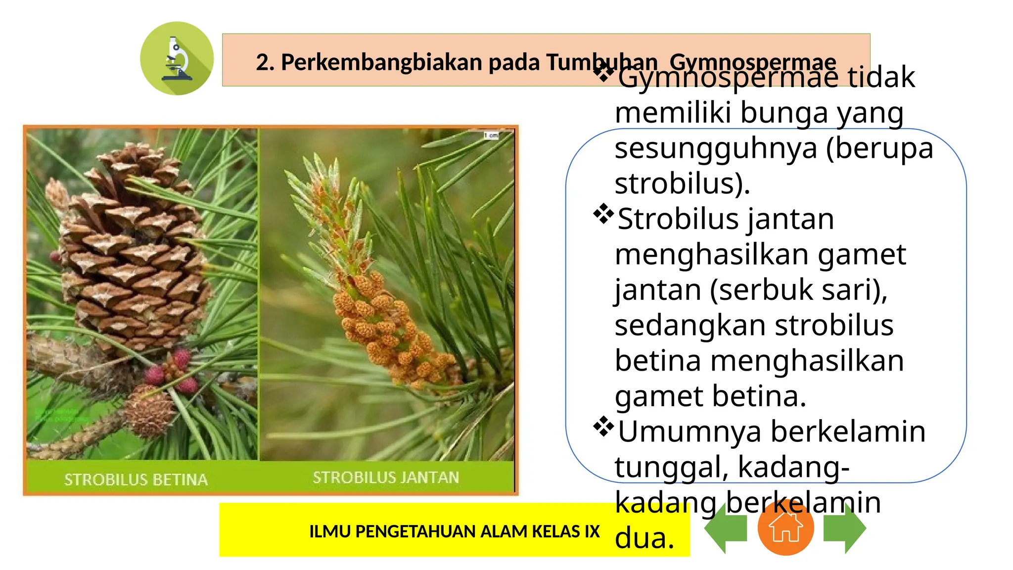 Materi tentang Sistem Perkembangbiakan Tumbuhan dan Hewan Kelas 9 SMP ...