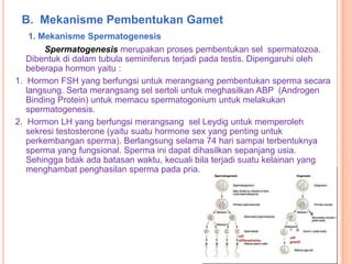 Bab 2 sistem reproduksi pada manusia | PPTX