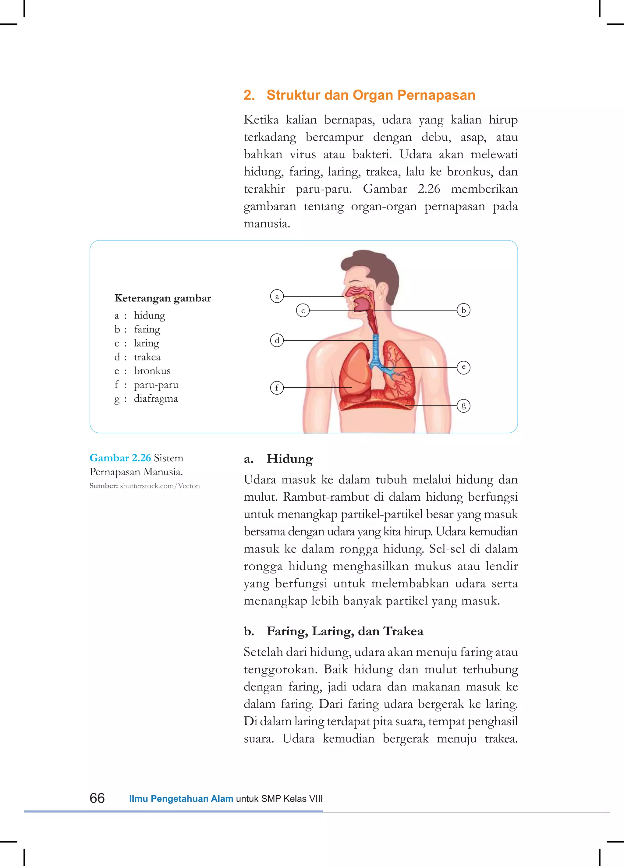Bab 2 Struktur dan Fungsi Tubuh Makhluk Hidup.pdf