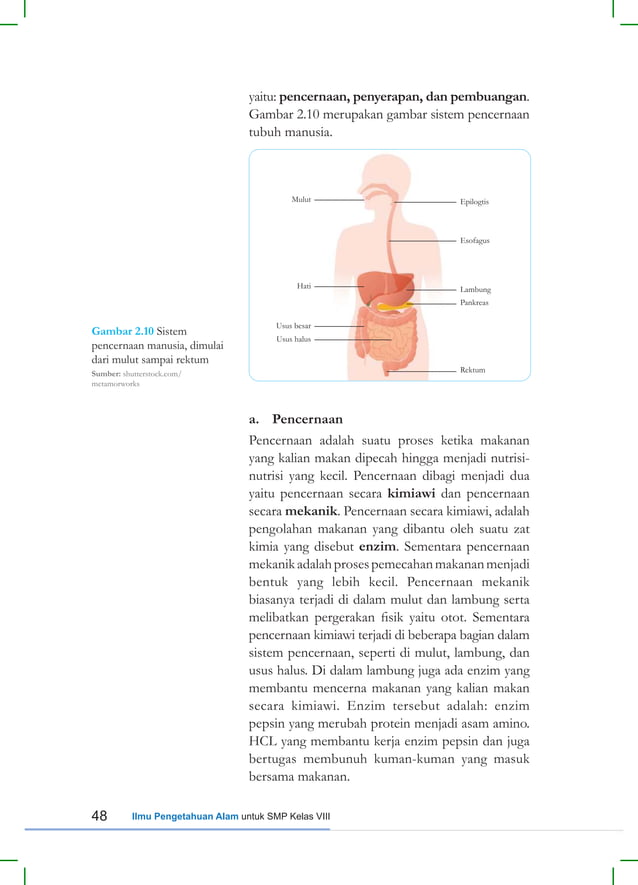Bab 2 Struktur dan Fungsi Tubuh Makhluk Hidup.pdf