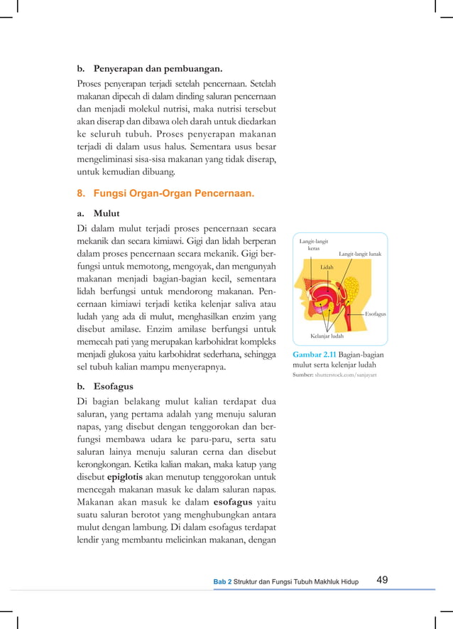 Bab 2 Struktur dan Fungsi Tubuh Makhluk Hidup.pdf