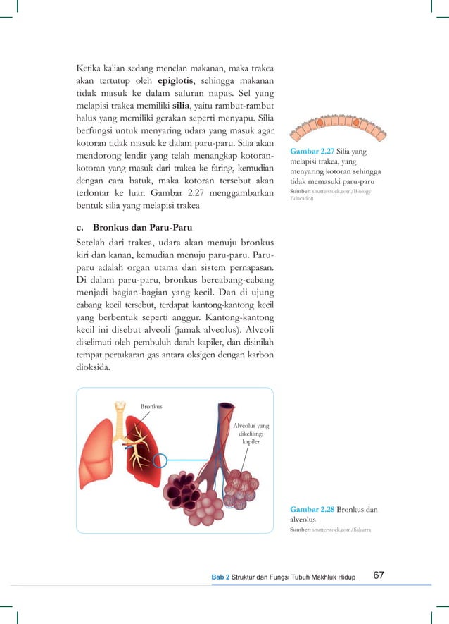 Bab 2 Struktur dan Fungsi Tubuh Makhluk Hidup.pdf