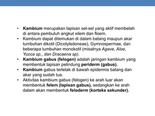 Bab 2 struktur dan fungsi tumbuhan | PPTX