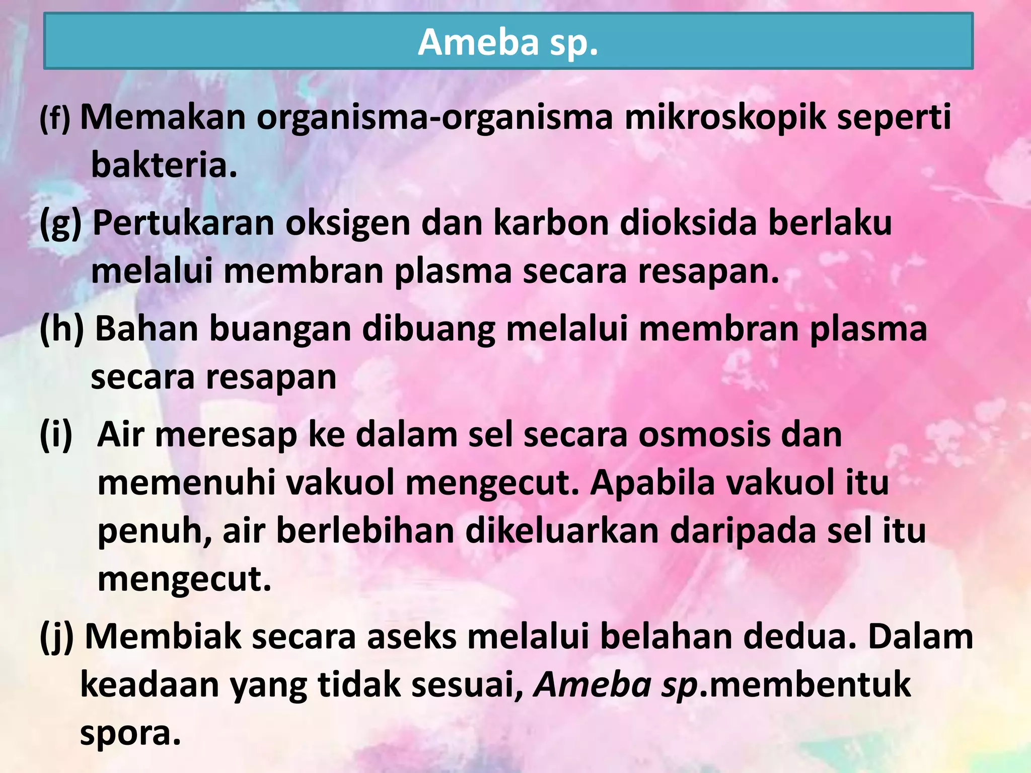 Bab 2 struktur sel dan fungsi | PPTX