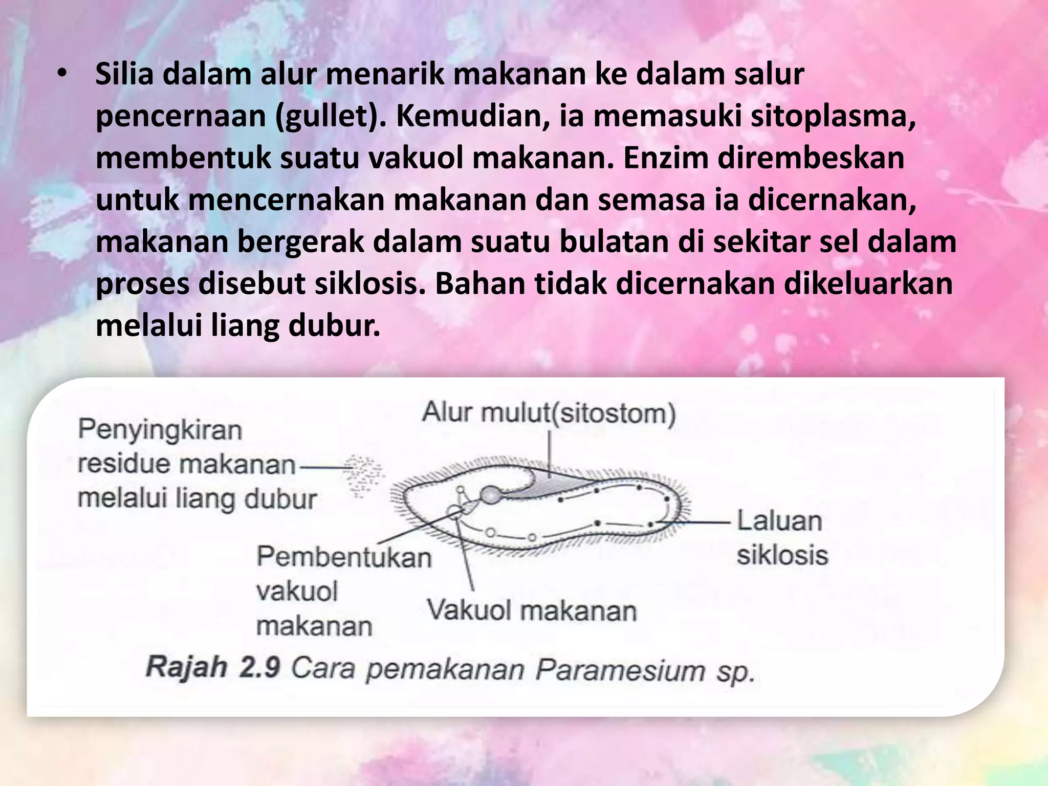 Bab 2 struktur sel dan fungsi | PPTX