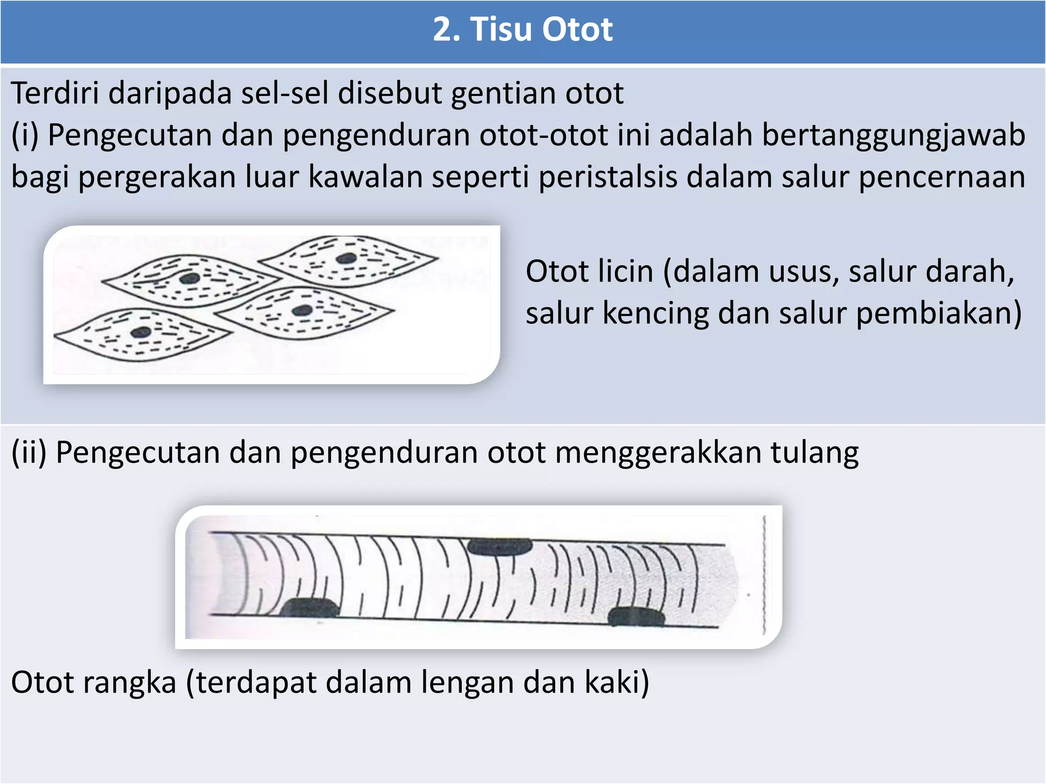 Bab 2 struktur sel dan fungsi | PPTX