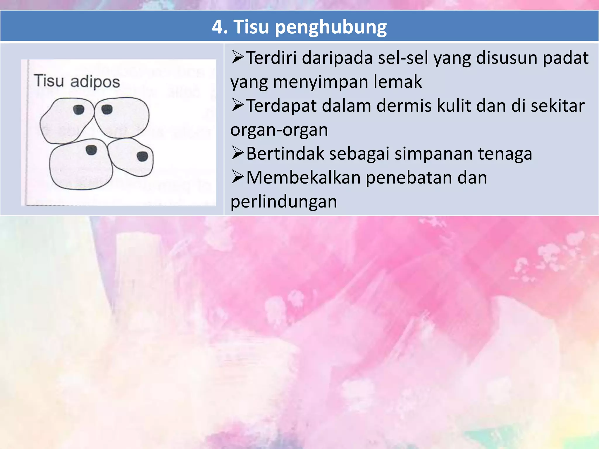 Bab 2 struktur sel dan fungsi | PPTX