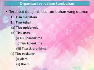 Bab 2 struktur sel dan fungsi | PPTX