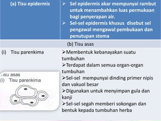 Bab 2 struktur sel dan fungsi | PPTX
