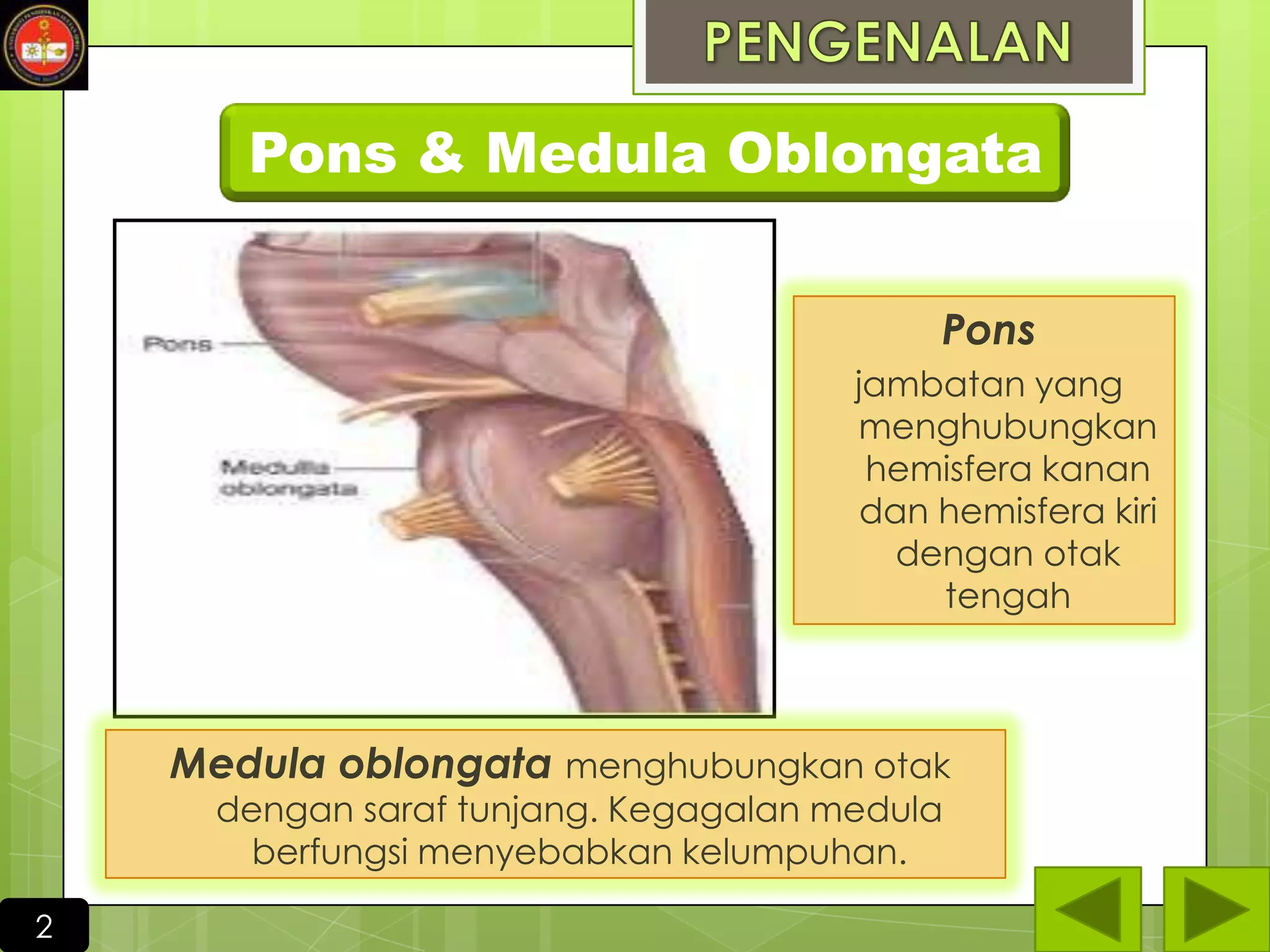 Bab 2 teori teori pemikiran | PPTX