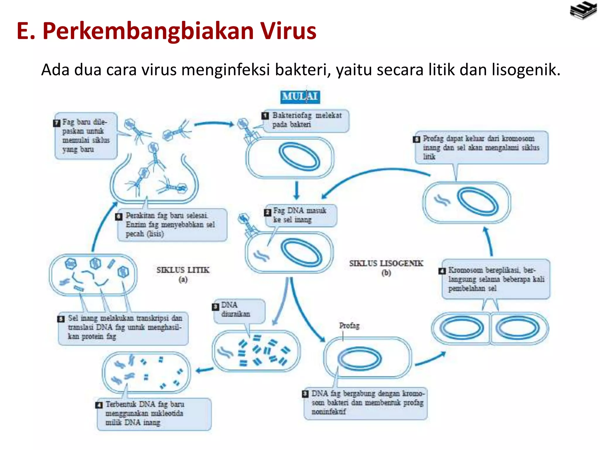 Bab 2 virus | PPTX