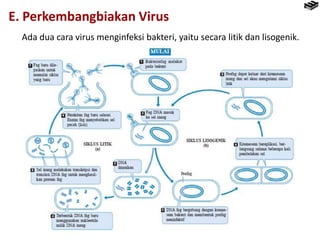 Bab 2 virus | PPTX