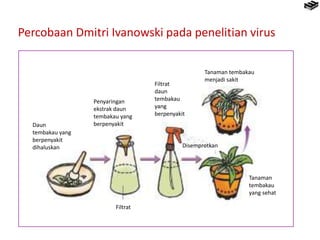 Bab 2 virus | PPTX