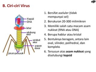 Bab 2 virus | PPT