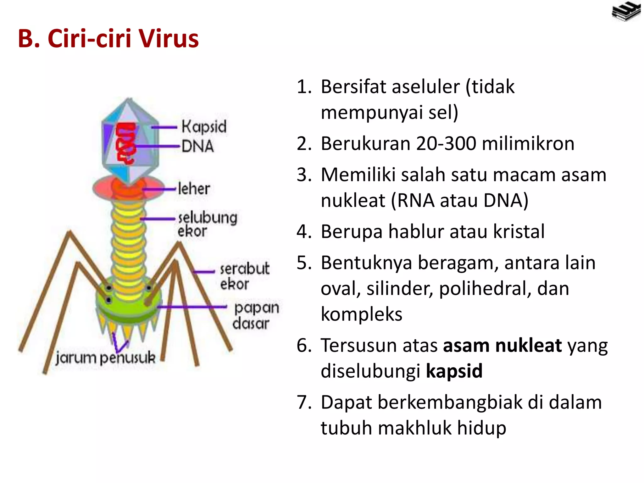 Bab 2 virus | PPTX