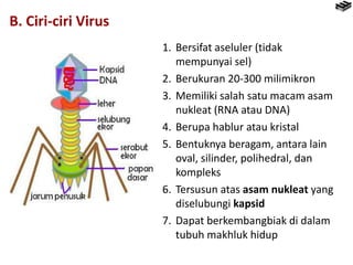 Bab 2 virus | PPTX