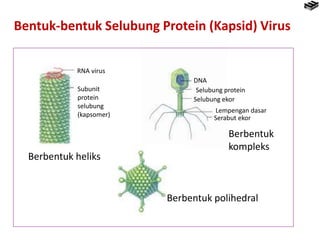 Bab 2 virus | PPTX