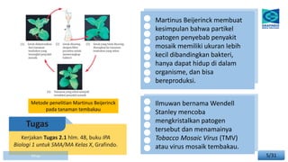 PPT Biologi SMA kelas 10 Virus Bab 2 Kumer | PDF