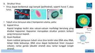 PPT Biologi SMA kelas 10 Virus Bab 2 Kumer | PDF