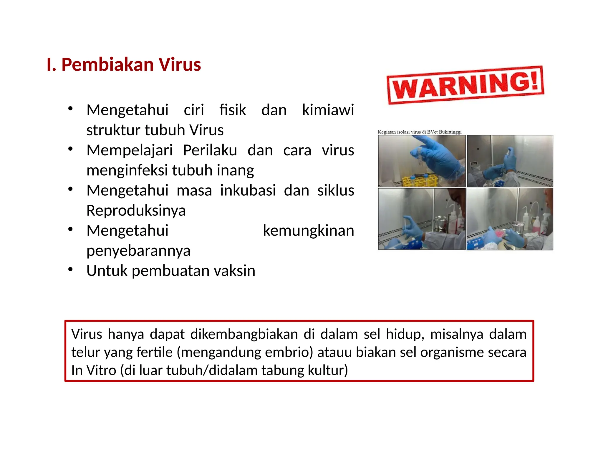 BAB 2 sejarah VIRUS NEW 1 BAB full topik | PPTX