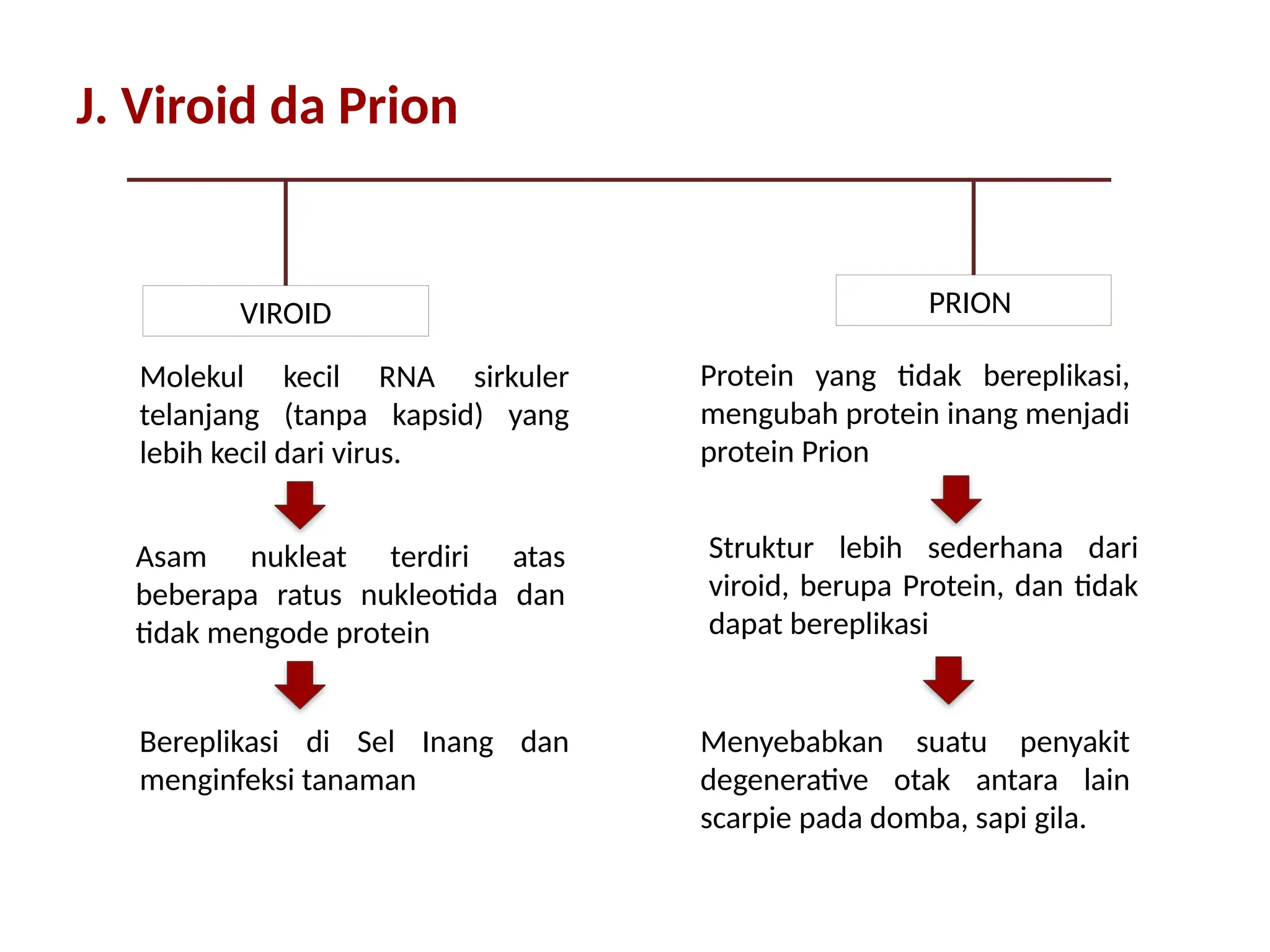BAB 2 sejarah VIRUS NEW 1 BAB full topik | PPTX