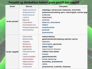 Bakteri GRAM negatif dan bakteri gram positif | PPTX