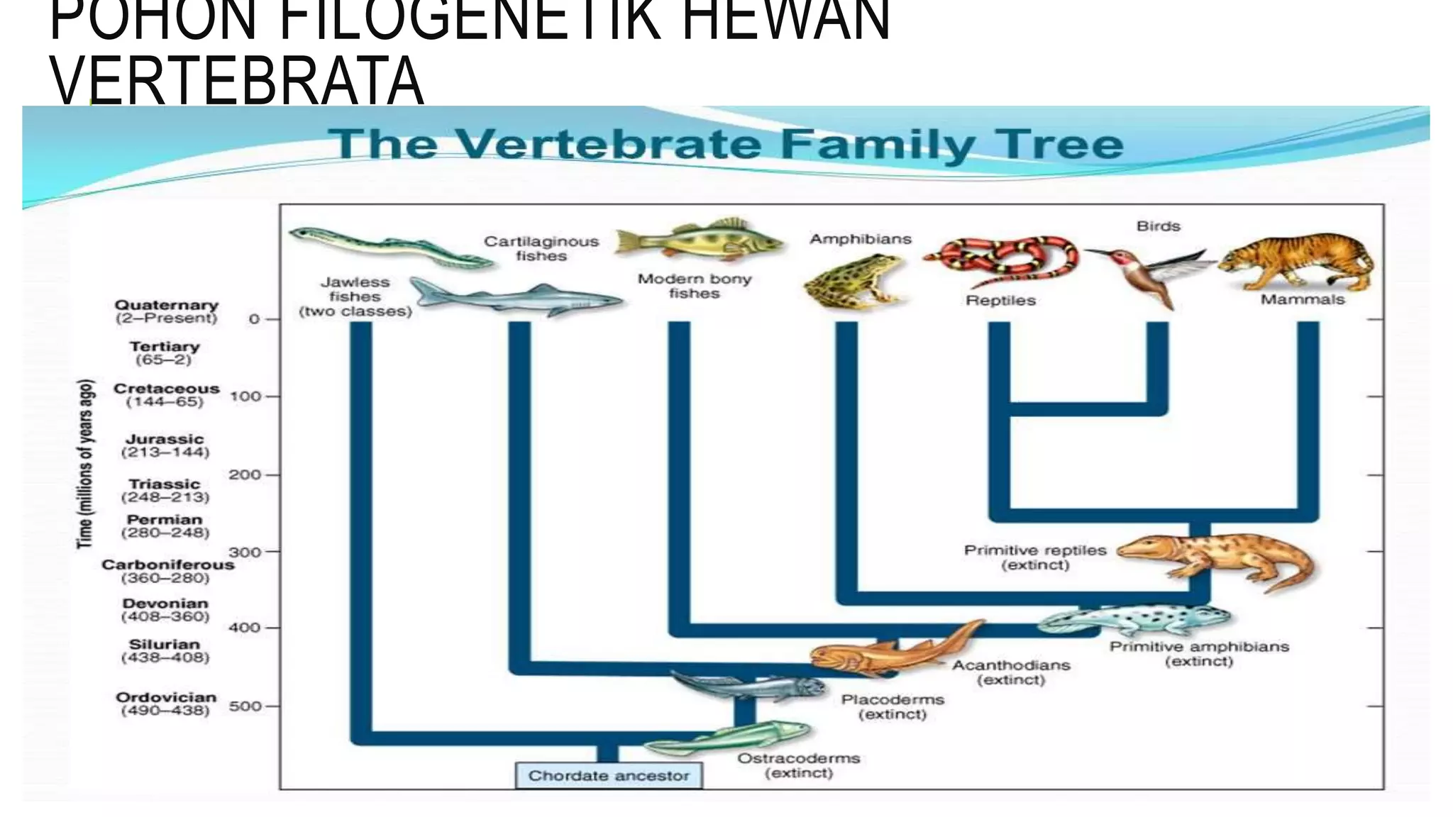 Bab 3. klasifikasi f ilogenetik | PPTX