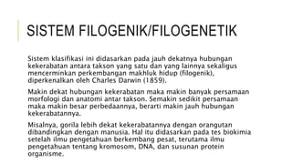 Bab 3. klasifikasi f ilogenetik | PPTX