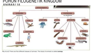 Bab 3. klasifikasi f ilogenetik | PPTX