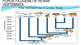 Bab 3. klasifikasi f ilogenetik | PPTX