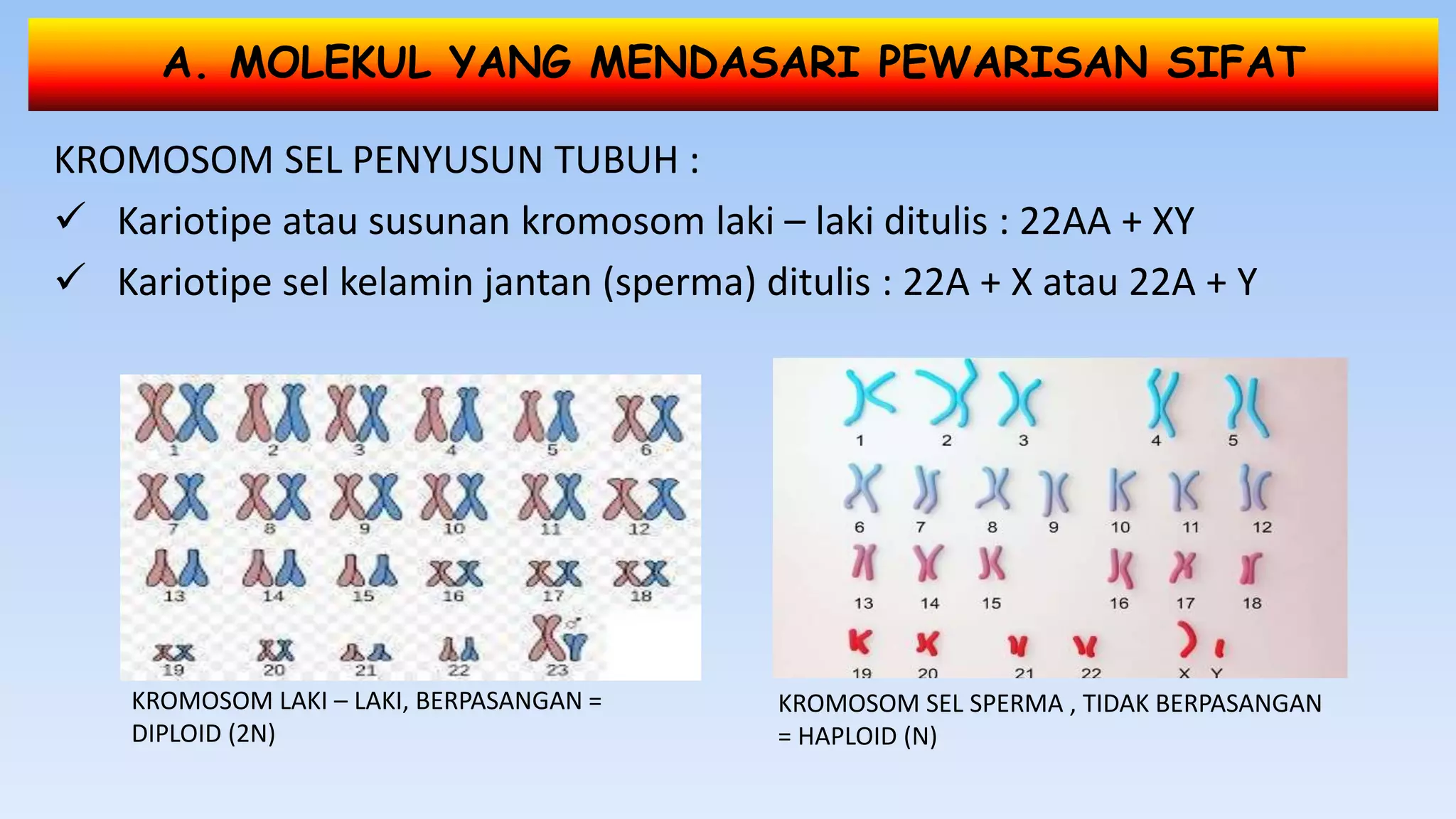 BAB 3. PEWARISAN SIFAT PADA MAKHLUK HIDUP BG 1.pptx