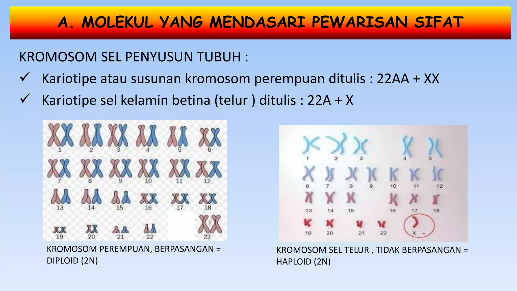 BAB 3. PEWARISAN SIFAT PADA MAKHLUK HIDUP BG 1.pptx