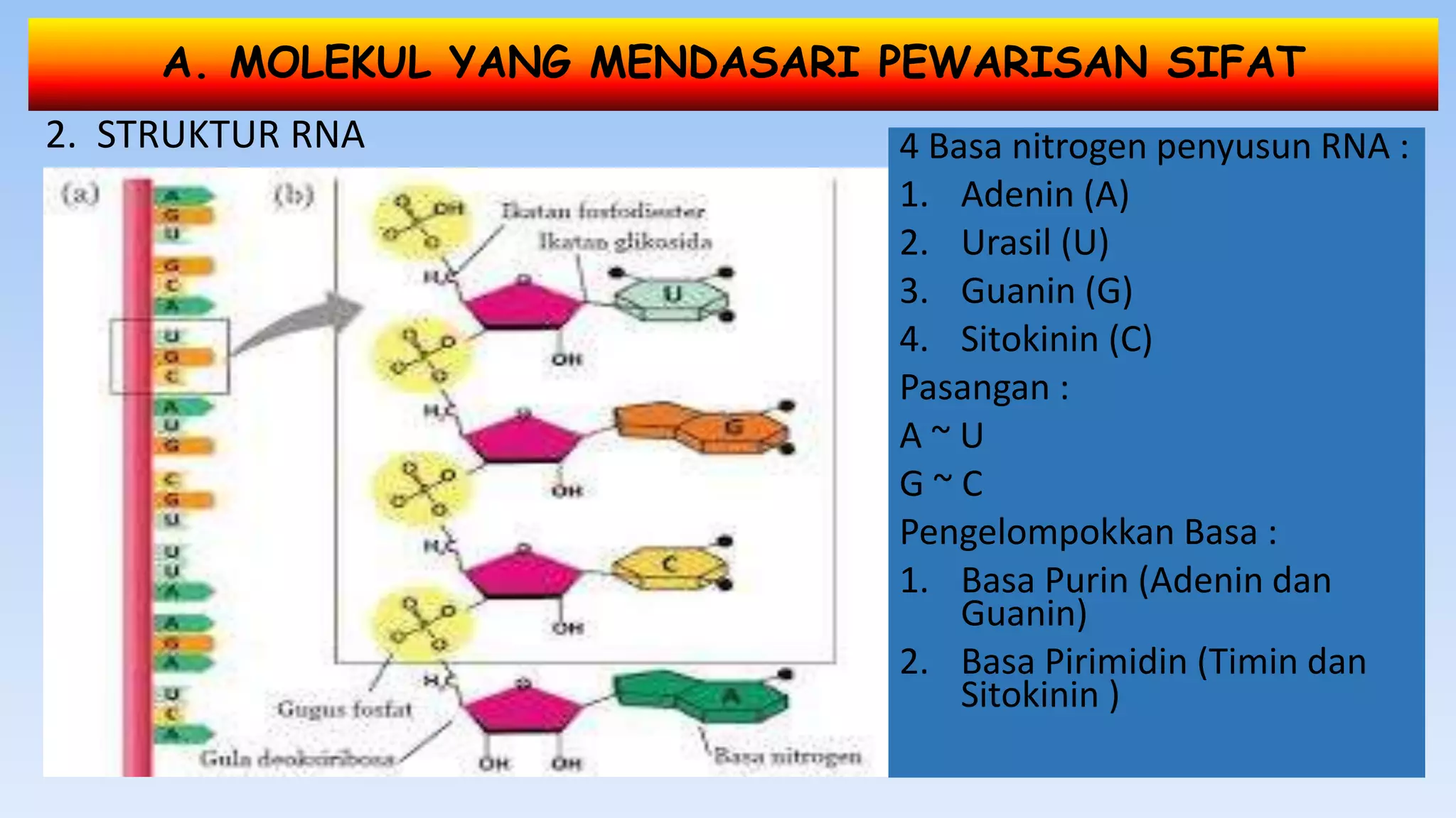 BAB 3. PEWARISAN SIFAT PADA MAKHLUK HIDUP BG 1.pptx
