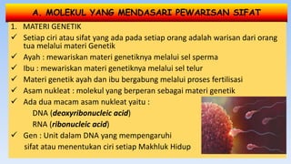 BAB 3. PEWARISAN SIFAT PADA MAKHLUK HIDUP BG 1.pptx