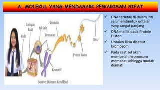 BAB 3. PEWARISAN SIFAT PADA MAKHLUK HIDUP BG 1.pptx