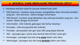 BAB 3. PEWARISAN SIFAT PADA MAKHLUK HIDUP BG 1.pptx