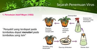 BAB 3. VIRUS (Sejarah Penemuan Virus dan Struktur Virus).pptx
